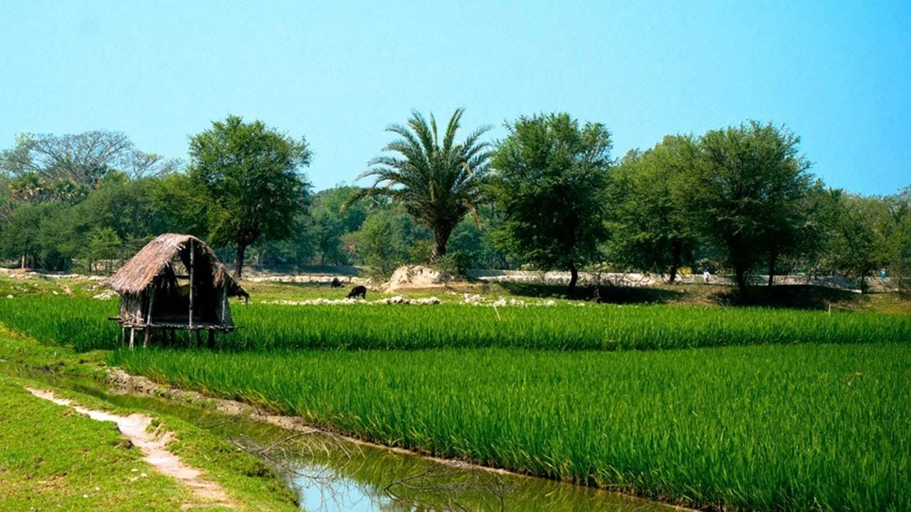 Village Tour Package – Nimbus Travellers